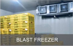 Services - Jolliant RNN Corp